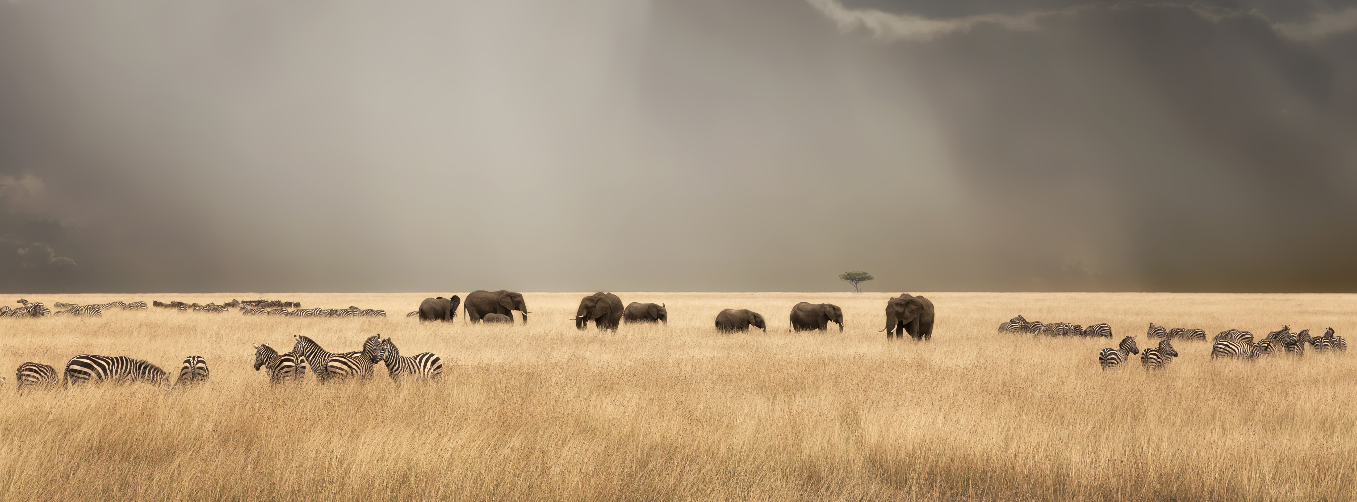Trips & Ships Luxury Travel | River Cruises, Expeditions & Custom Safaris